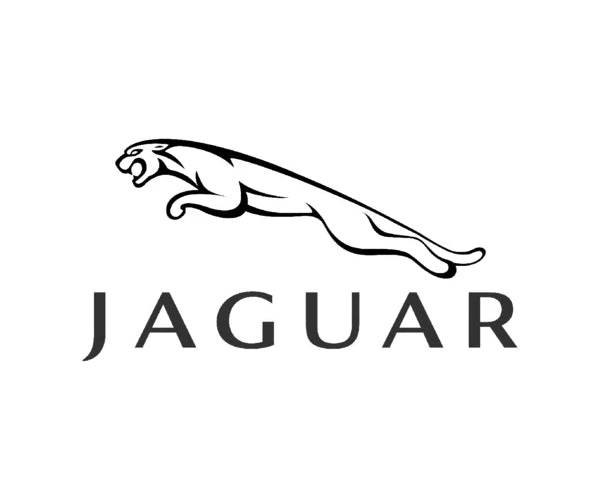 Jaguar – Luliz
